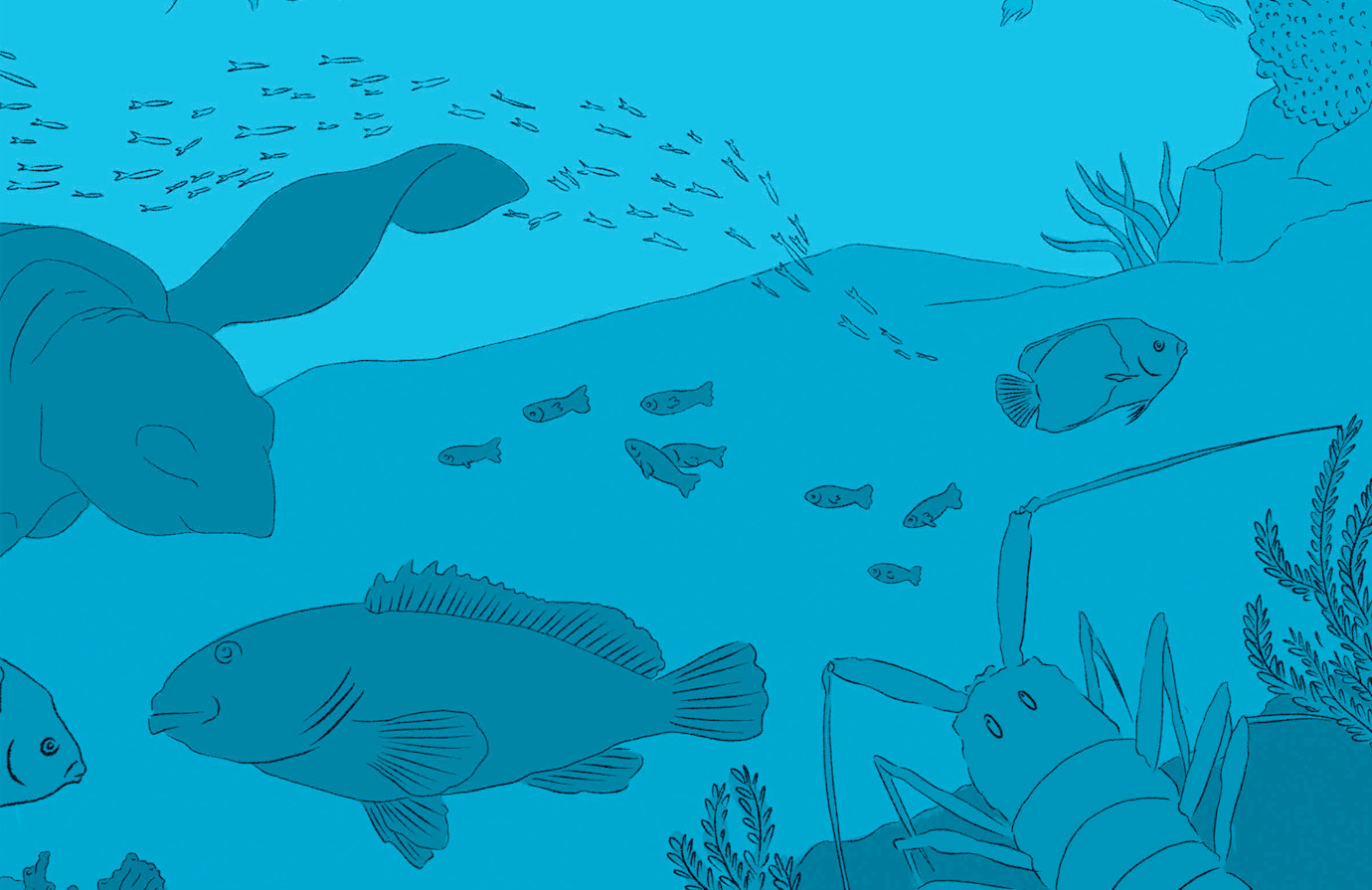 Course: Recognizing other effective area-based conservation measures in ...