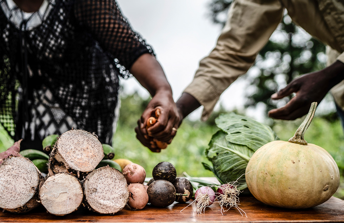 Course: Parliamentary action for food systems and nutrition: Creating ...