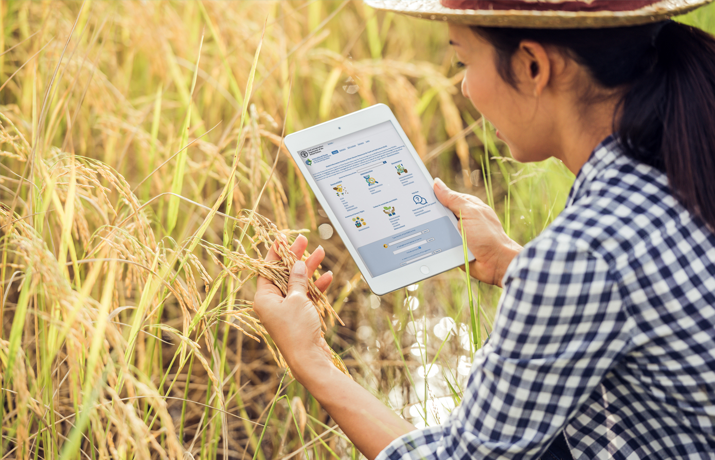 Course: The Global Information System | FAO elearning Academy