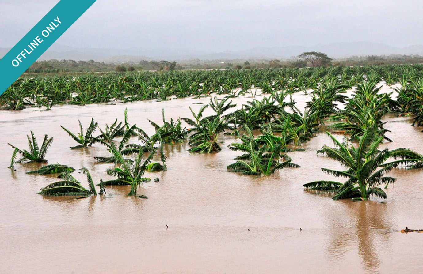 Course: Addressing Tenure Issues in the Context of Natural Disasters