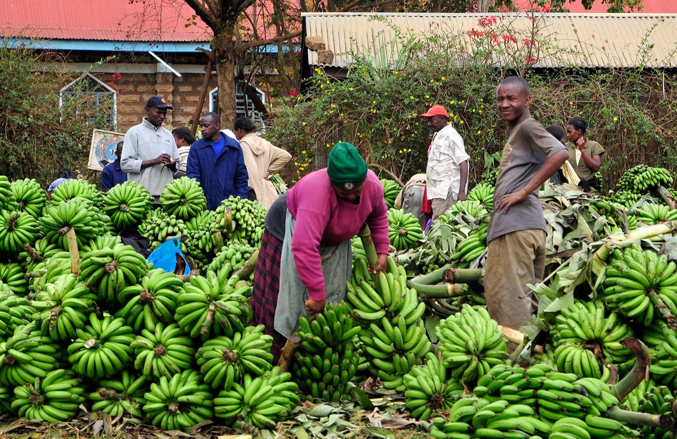 Course: Improving nutrition through agriculture and food systems