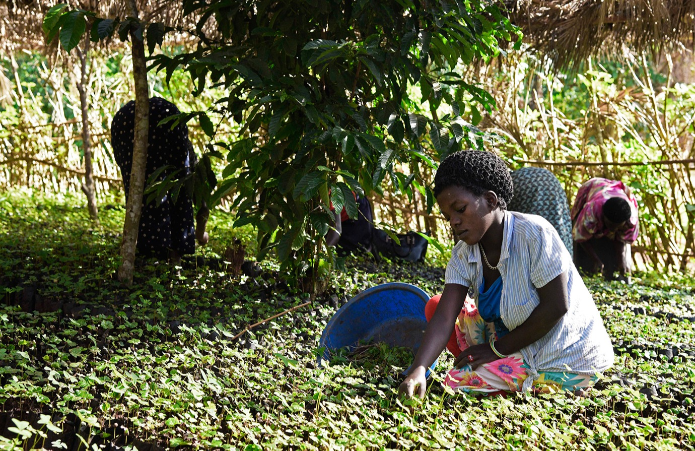 Course: Productive employment and decent work in rural areas