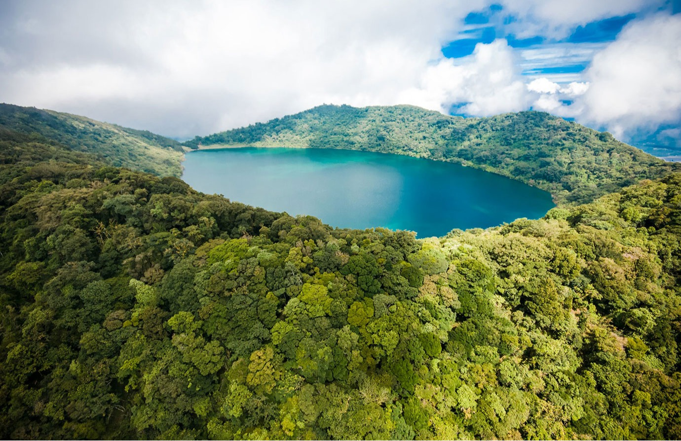 Course: SDG indicators 15.1.1 and 15.2.1 - Forest area and sustainable ...