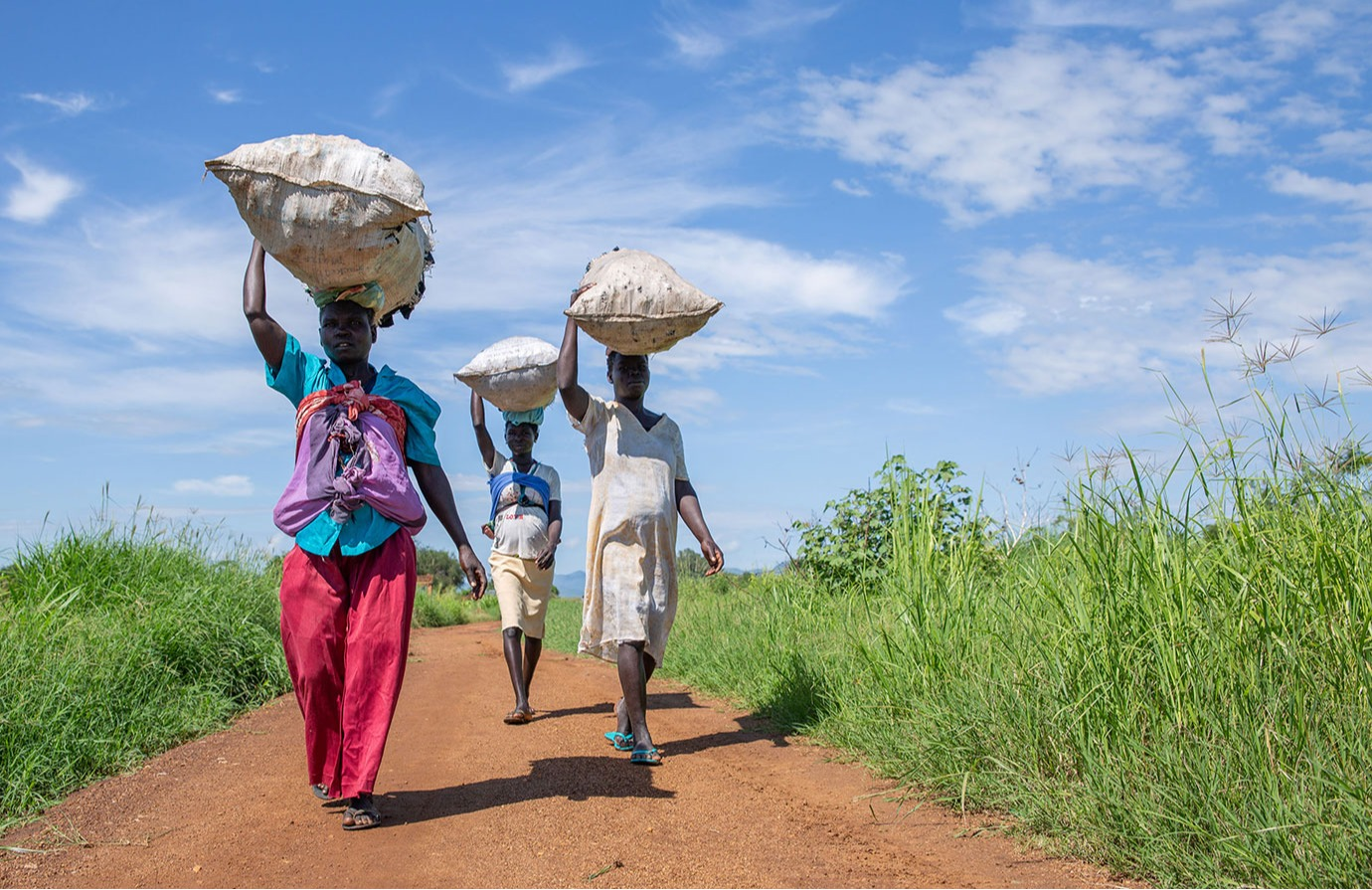 SDG Indicators 2.3.1 and 2.3.2 - Labour productivity and income of ...