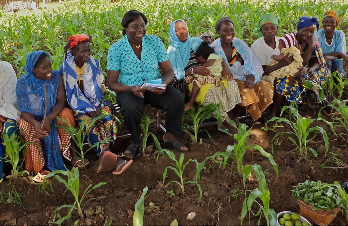 Course: Theory-based impact evaluation for rural poverty reduction