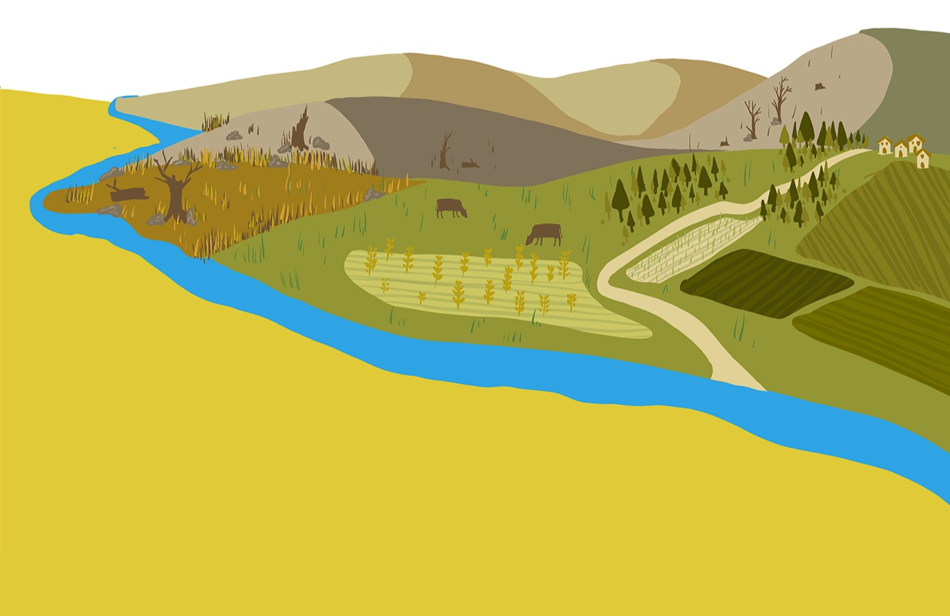 Course: Sustainable financing of Forest and Landscape Restoration