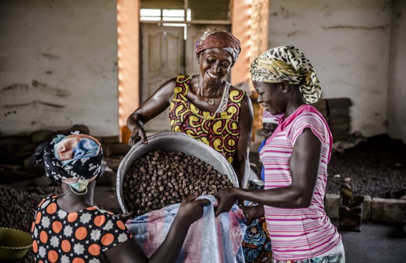 Course: Sustainable food systems: An introduction