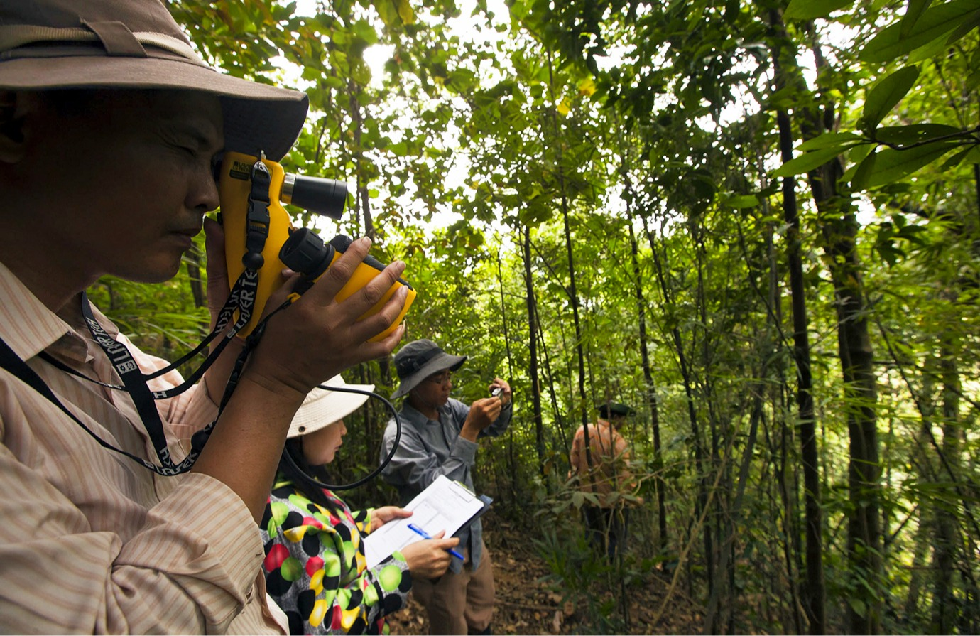 Sharing Forests MOOC