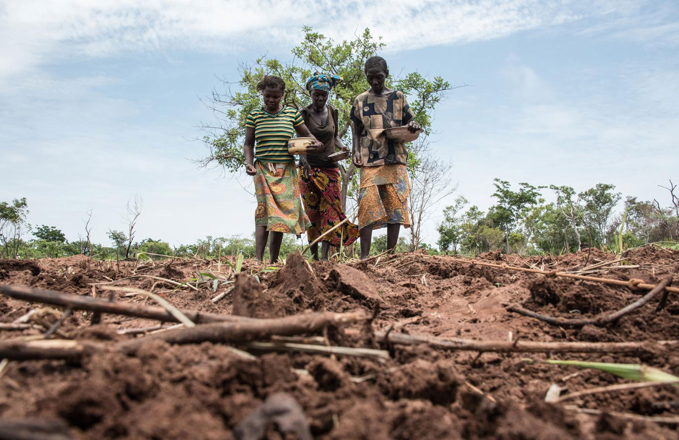 Course: Climate-smart soil and land management