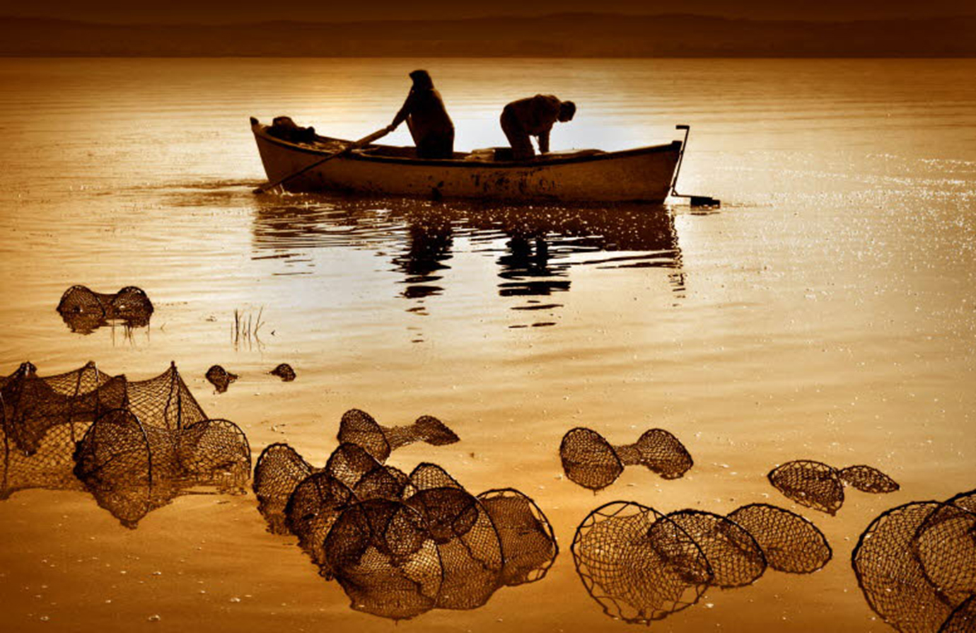 Course: Climate change adaptation and mitigation in fisheries and ...