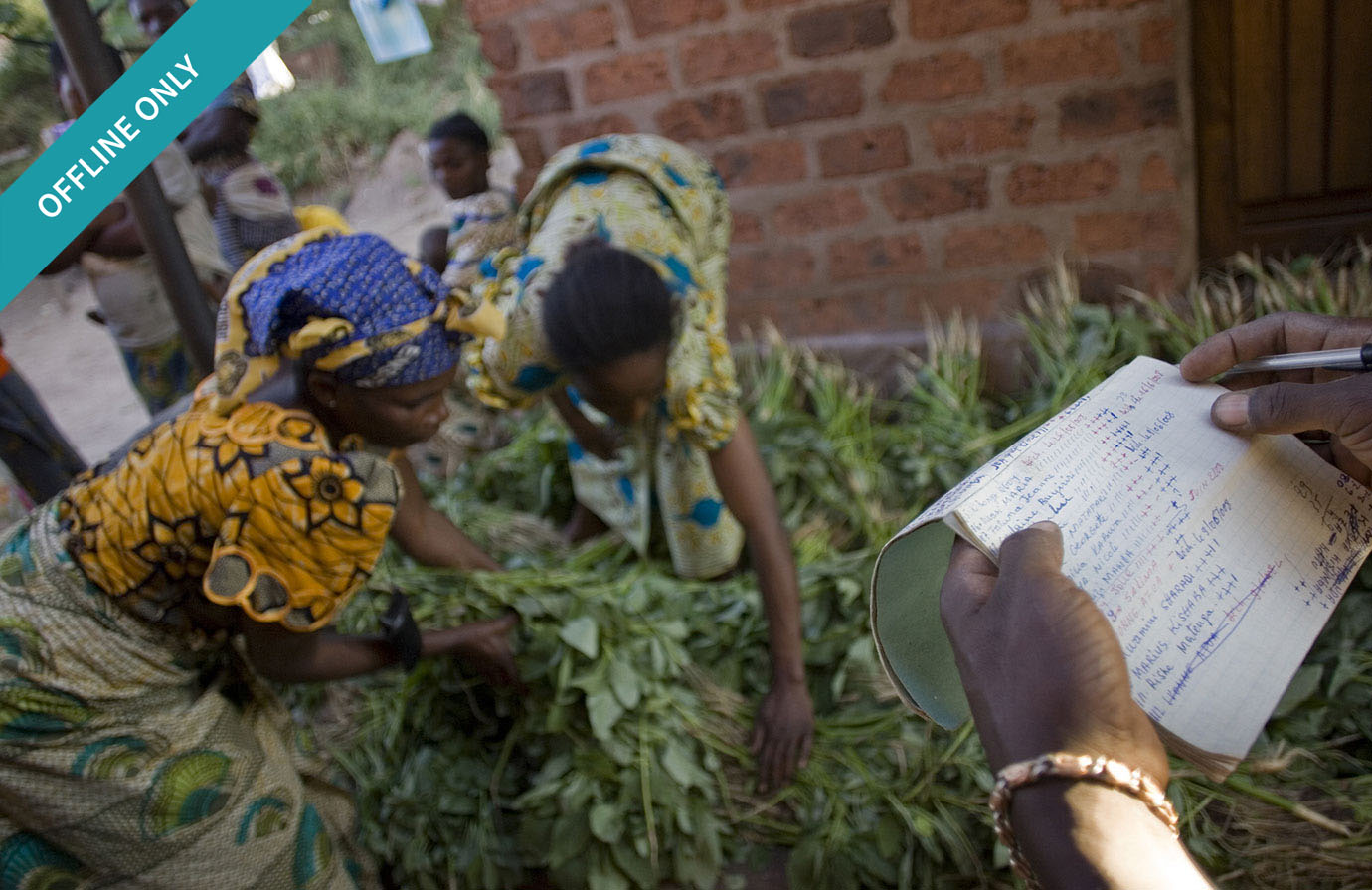 Course: Food Security Information Systems and Networks