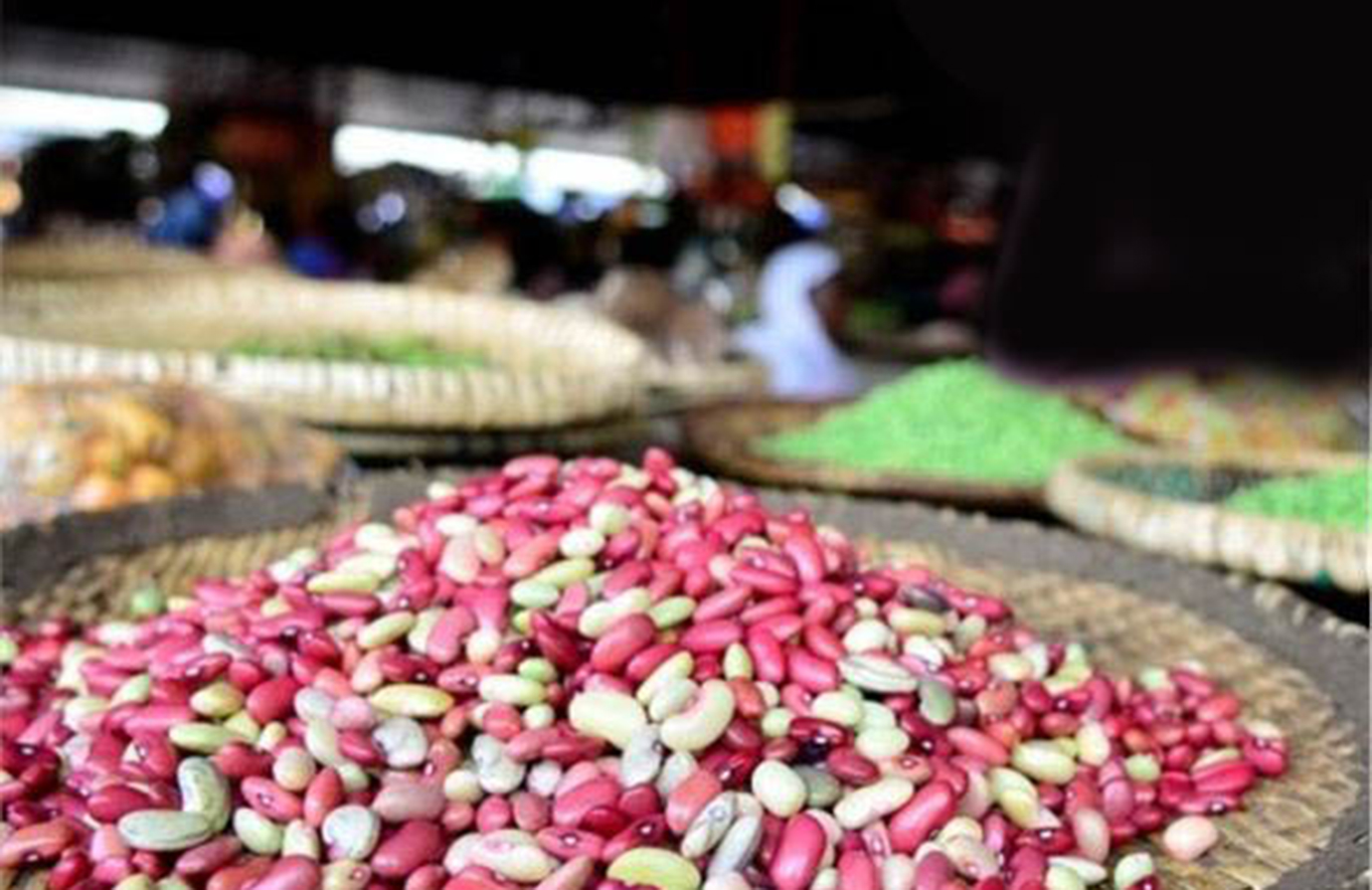 Course: Building a common vision for sustainable food and agriculture ...