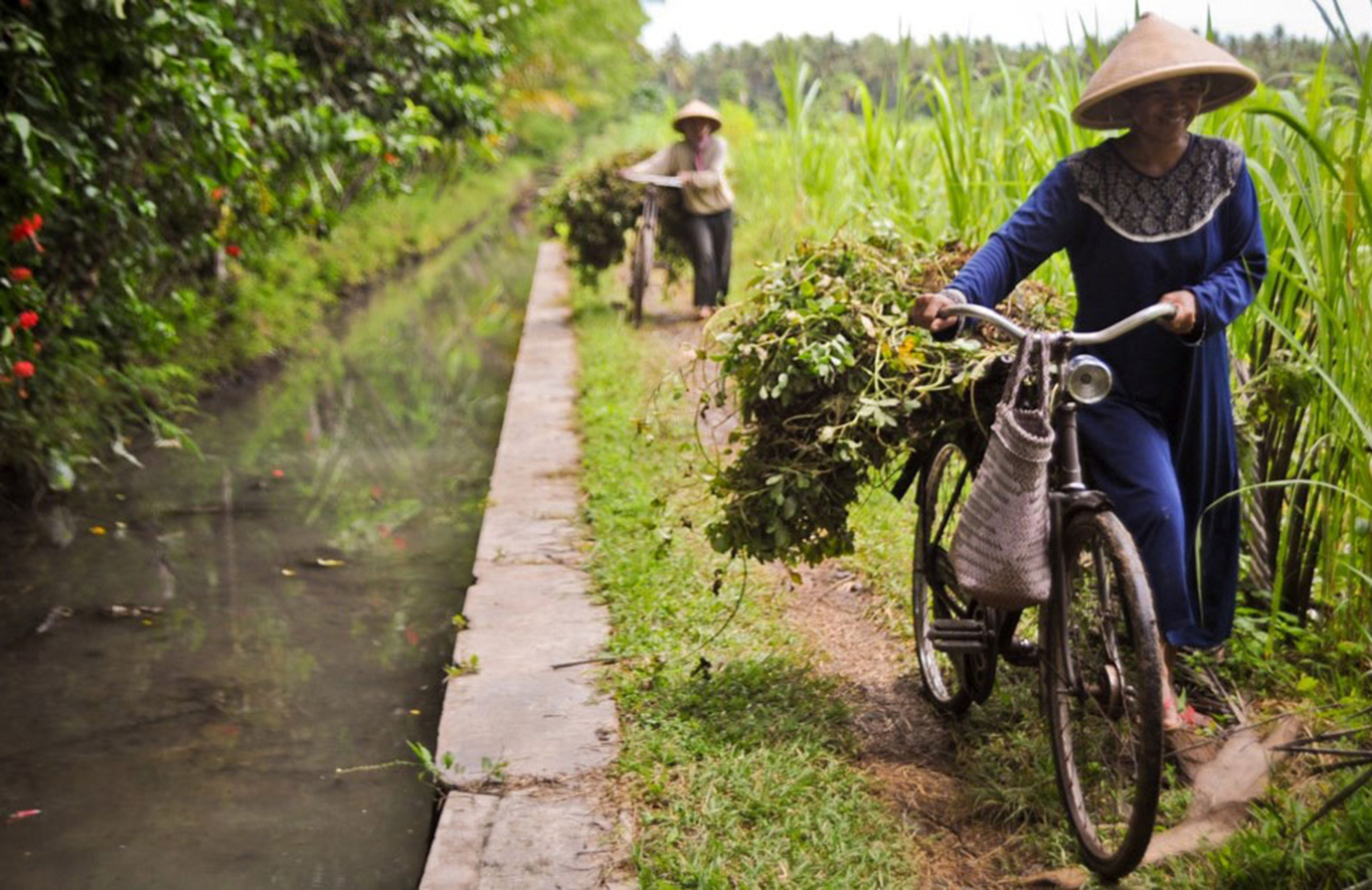 Course: Climate-smart crop production | FAO elearning Academy