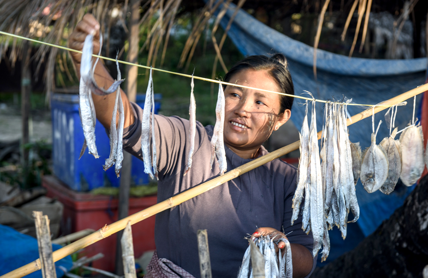 Course: Sustainable Food Value Chains for Nutrition | FAO elearning Academy