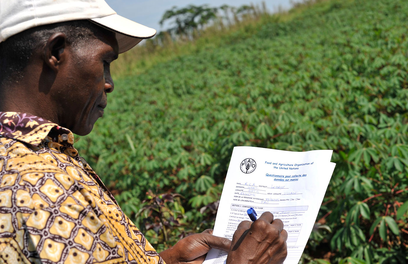 Course: Integrated Food Security Phase Classification (IPC) protocols ...