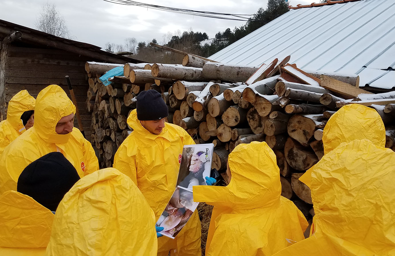 Course: Simulation Exercises for Animal Disease Emergencies | FAO ...