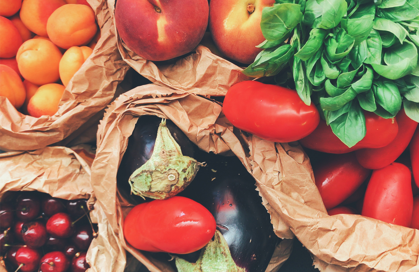 Course: Introduction to Codex | FAO elearning Academy