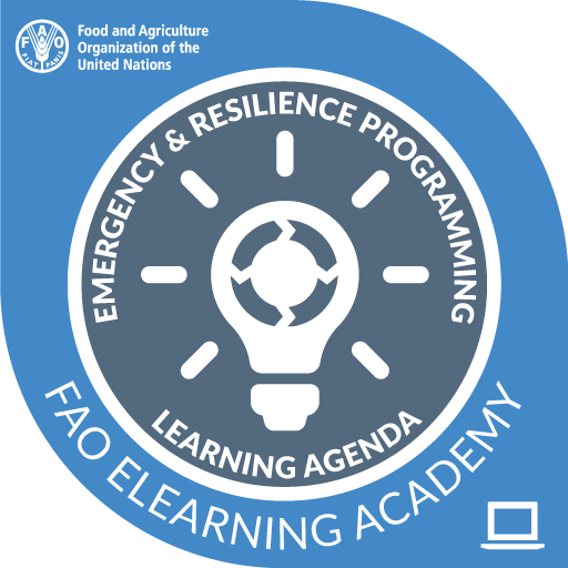 Course: Developing a learning agenda to support emergency and resilience programming
