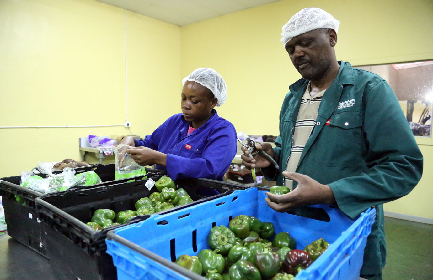 Course: Fostering decent wage employment for women and men | FAO ...
