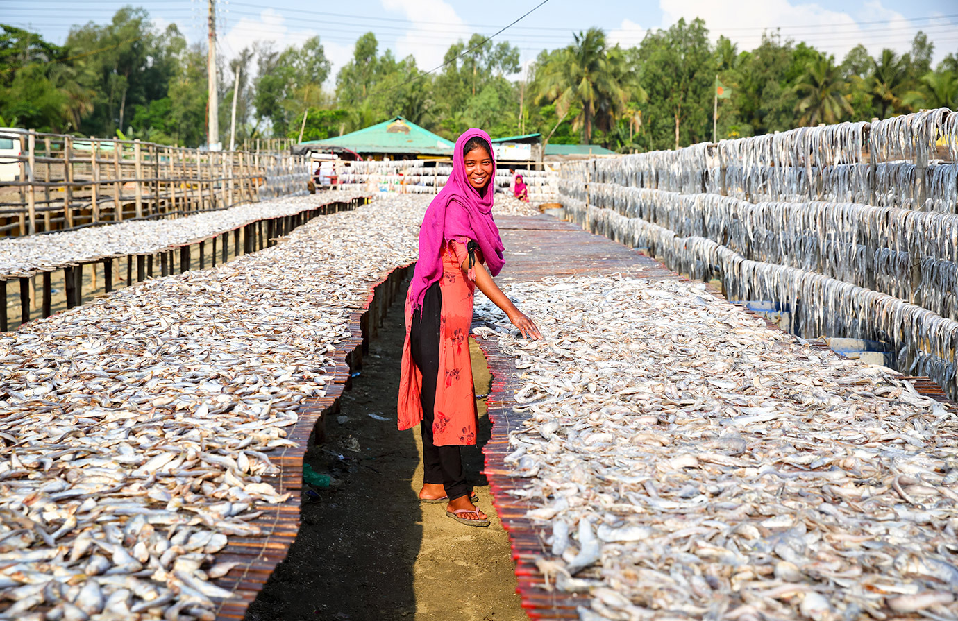 Course: International trade in fisheries and aquaculture products | FAO ...