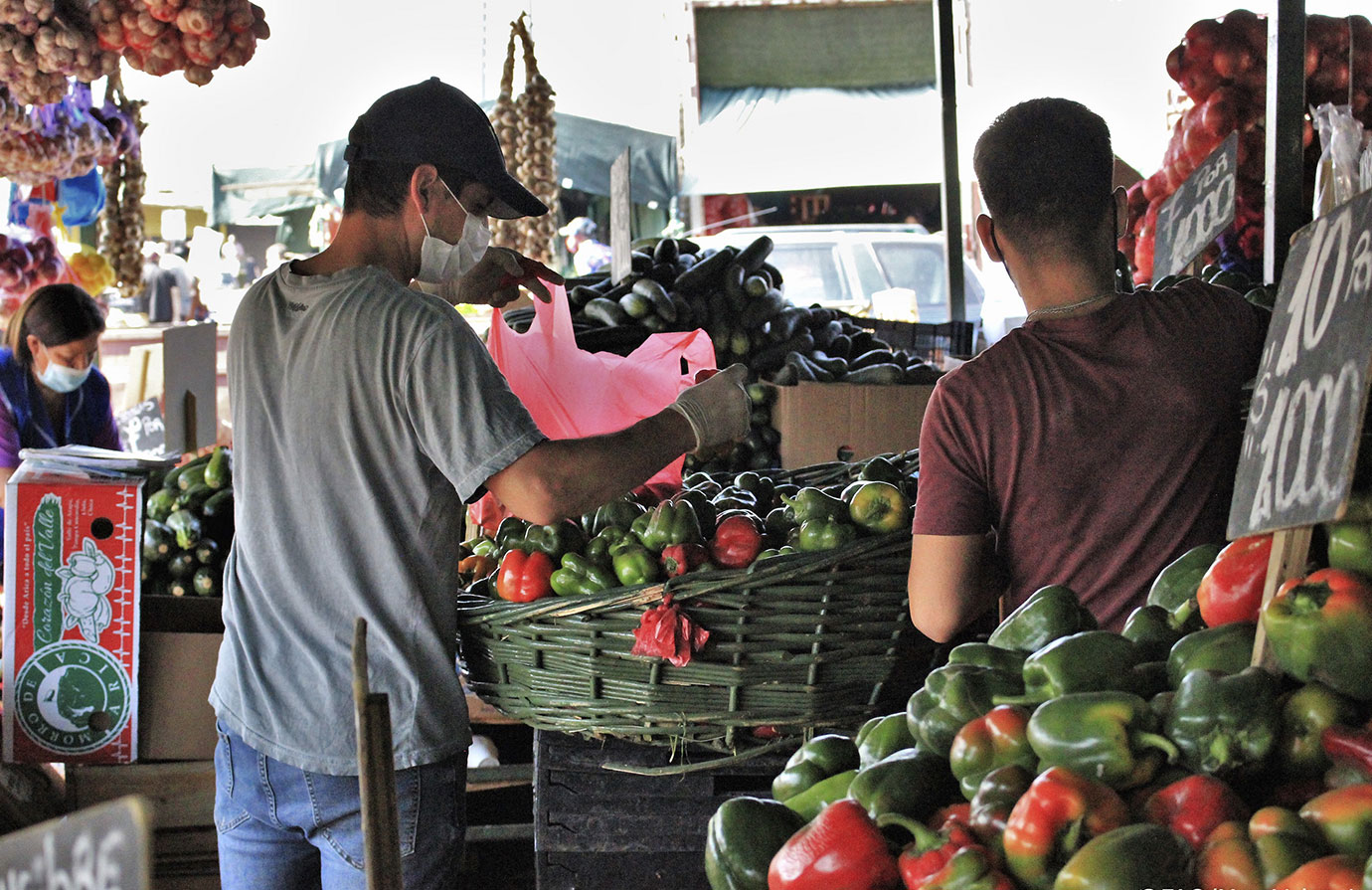 Course: Introduction to trade, food security and nutrition | FAO ...