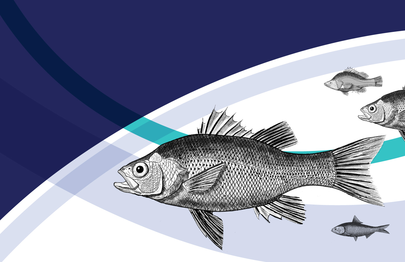 Course: Mitigating the impact of irrigation infrastructure on fish ...