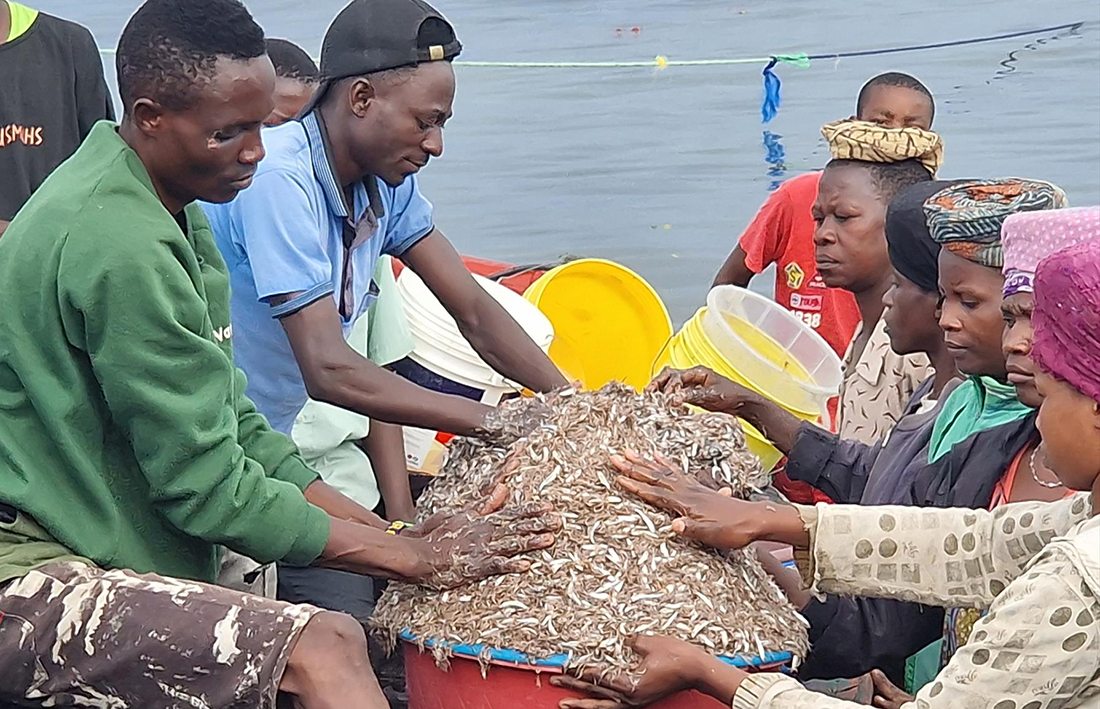 Course: Fish loss assessment methods | FAO elearning Academy