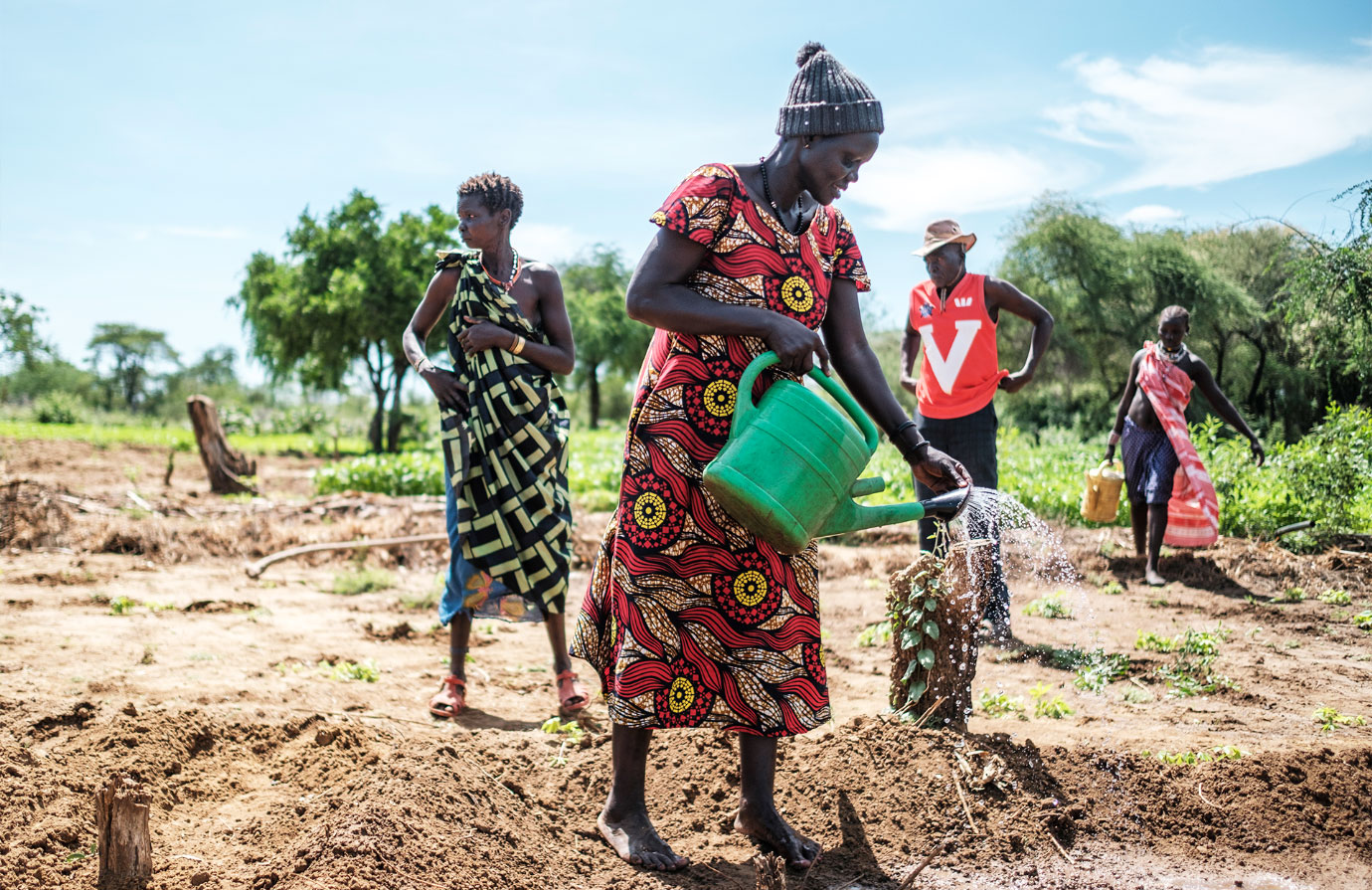 Course: Addressing gender equality in climate change adaptation and ...