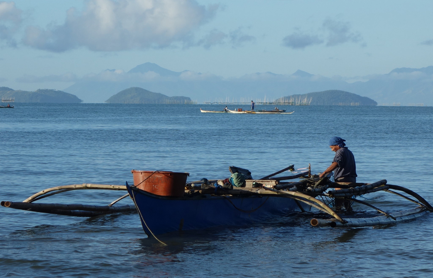 Course: Compiling data on the contributions of small-scale fisheries to ...
