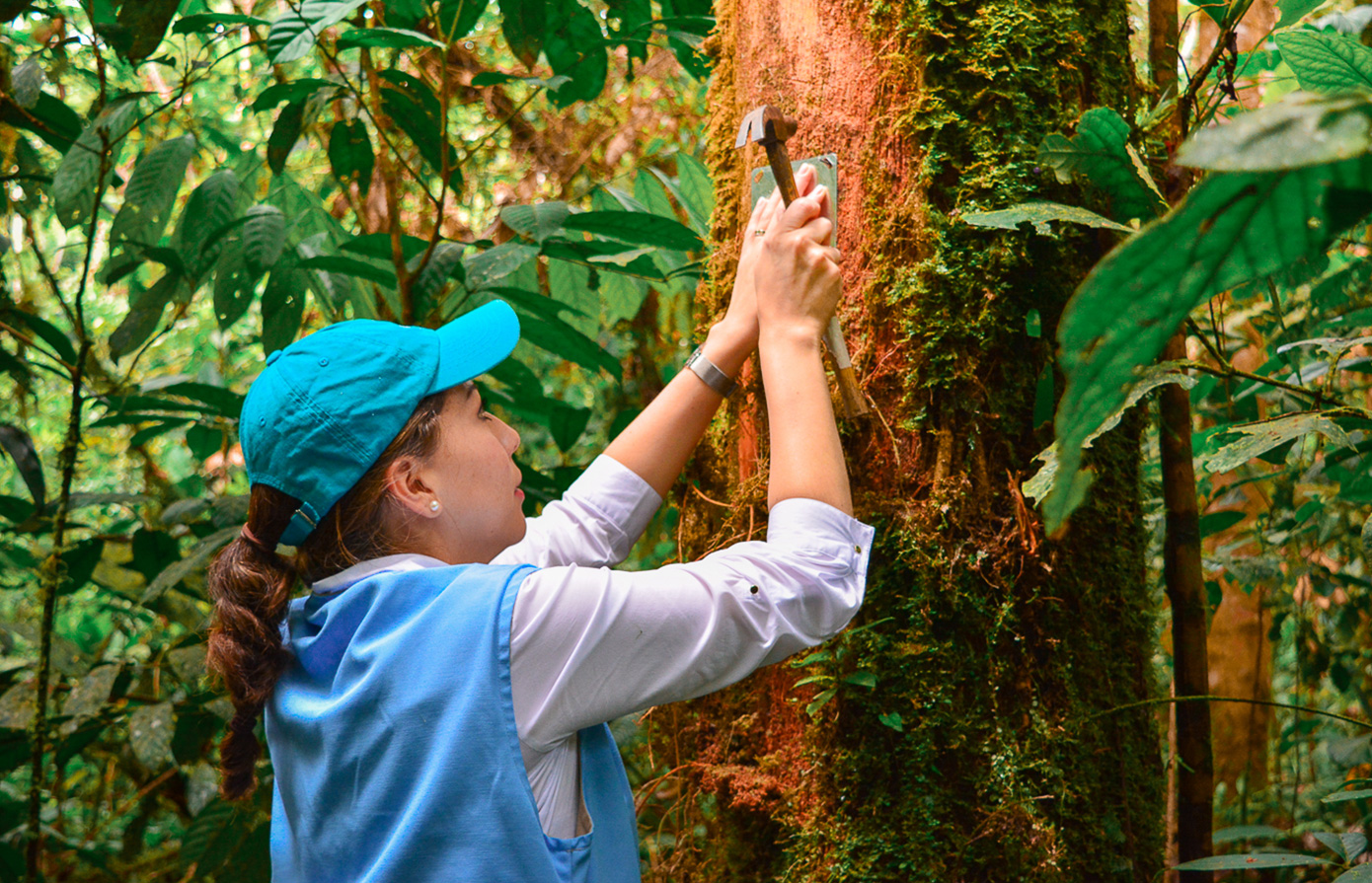 Course: Measurement, reporting and verification for environmental ...