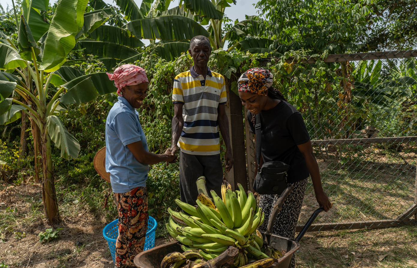 Course: Tropical Agriculture Platform | FAO elearning Academy